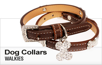 Dog Collars Leads Harnesses Rutland Pet Boutique Sarah s Pet Care Services